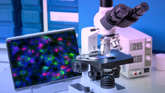 What Is the Most Powerful Microscope in the World?