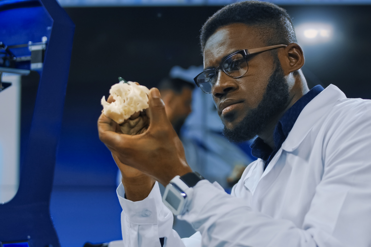 Using Wicket Gates to Control Water Flow