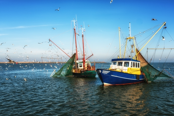 Once Controversial, Trawling Is Now Sustainable