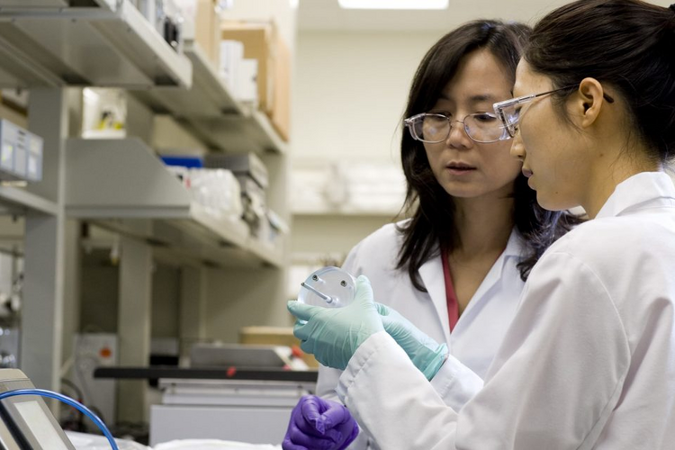 Amgen to Invest $550 Million in North Carolina Biologics Manufacturing ...