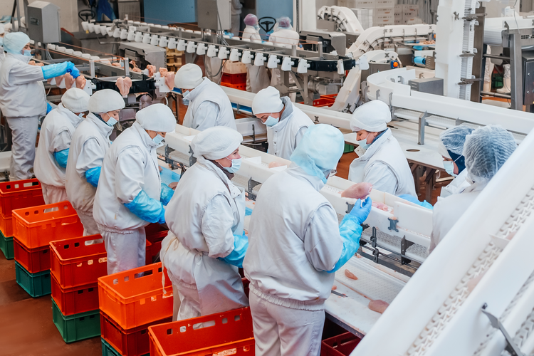 Poultry Processing Company to Create 402 Jobs with New Plant