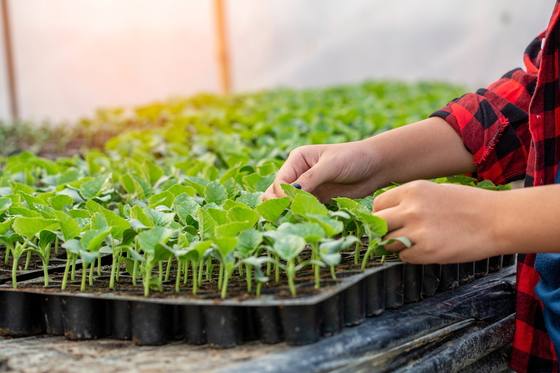 Plastic Container Manufacturer Announces $44 Million Georgia Factory