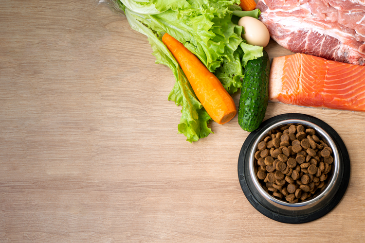 Serving a rapidly growing industry, pet food ingredient maker opens ...